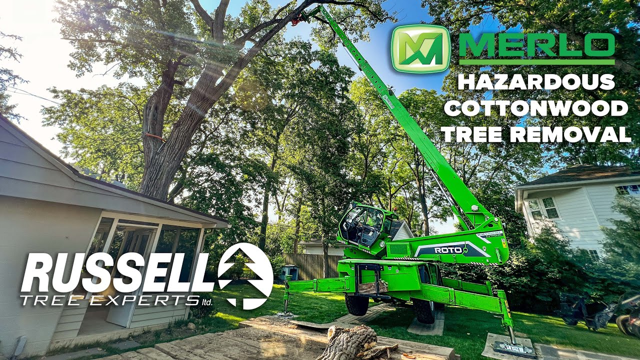 Eastern Cottonwood Tree Removal with a Merlo Roto 50.35 S Plus - YouTube