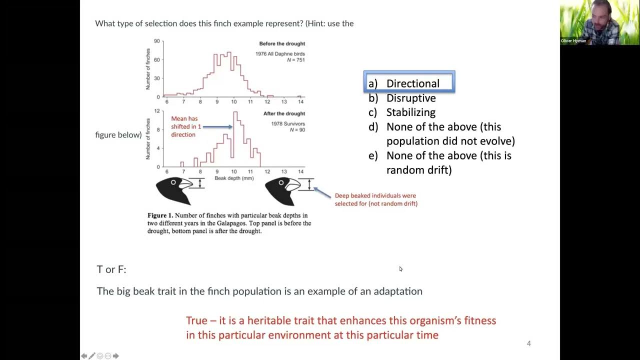 Lecture 08b Finch Case Study 2 Review - YouTube