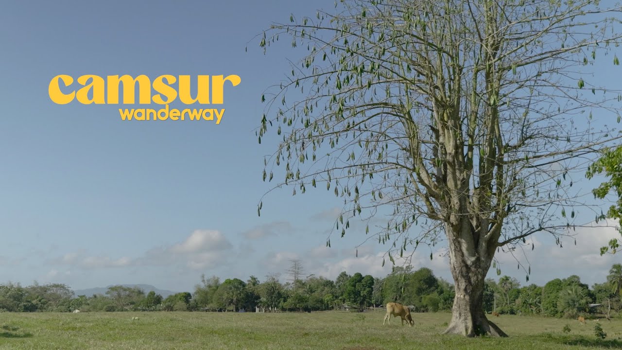 CamSur | S5IIX | 1080p - YouTube