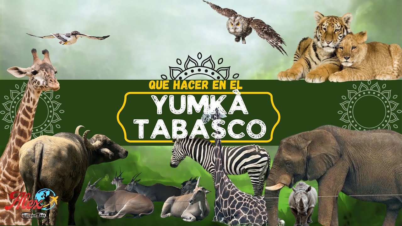 Visita el YUMKA en Villahermosa - LA MEJOR GUÍA - YouTube