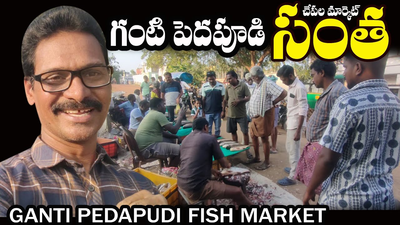 Ganti pedapudi santha fish market konaseema గంటి పెదపూడి సంత చేపల ...