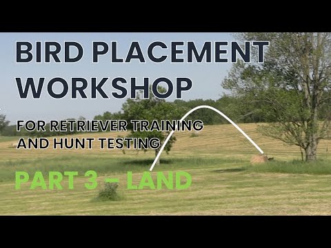 BIRD PLACEMENT WORKSHOP - BIRD PLACEMENT IN RETRIEVER TRAINING AND HUNT ...