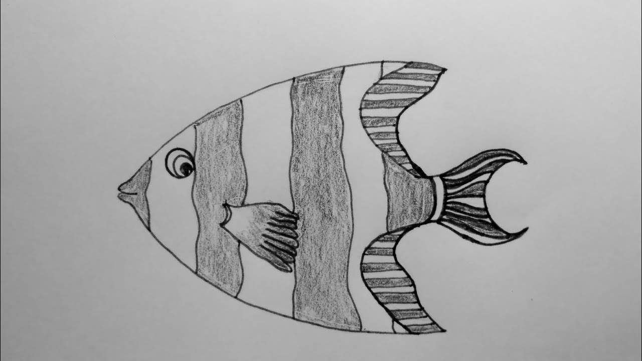 Angle Fish Drawing// Angel Fish Drawing Easy// Fish Drawing// मछली का ...