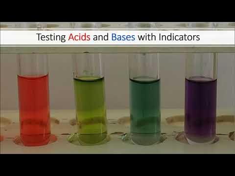 Testing Acids and Bases with Indicators - YouTube