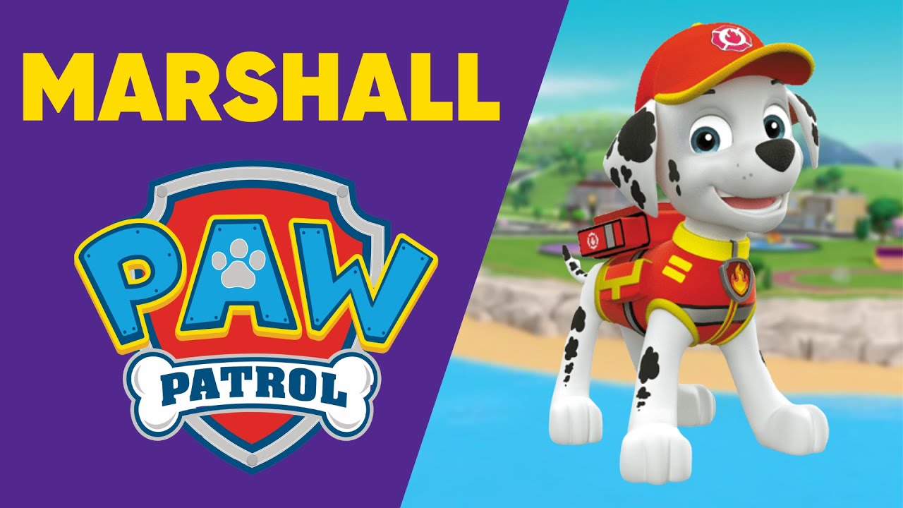 Everything You Need to Know About: Marshall from Paw Patrol #PawPatrol ...