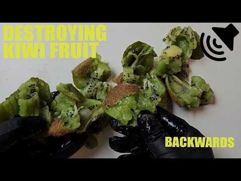 Oddly Satisfying Destruction: KIWI FRUIT [In Reverse] #555 ASMR (Relaxing)