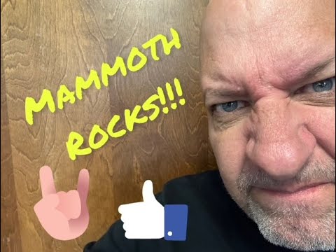 Mammoth- I'm Alright (reaction) #WVH #rock #reaction #imalright - YouTube