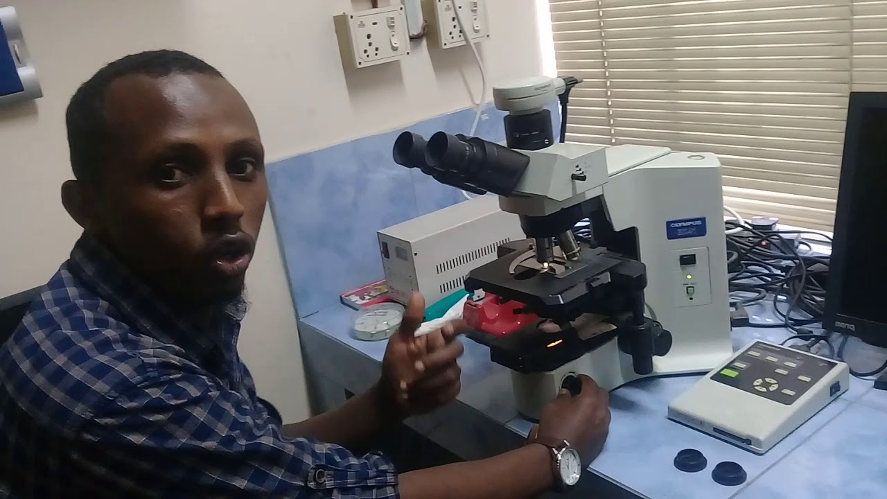 Best use of agricultural laboratory microscope - YouTube