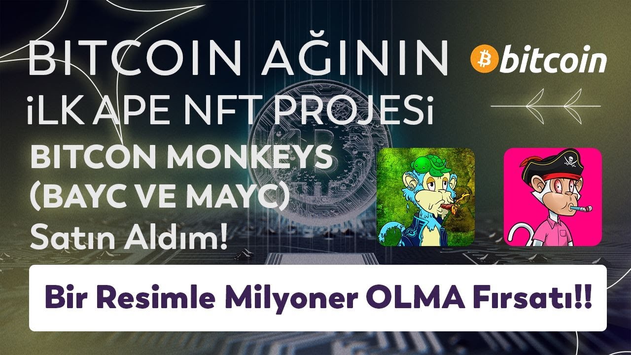 BITCOIN AĞININ İLK APE NFT PROJESİ BITCON MONKEYS (BAYC VE MAYC)’ sini ...