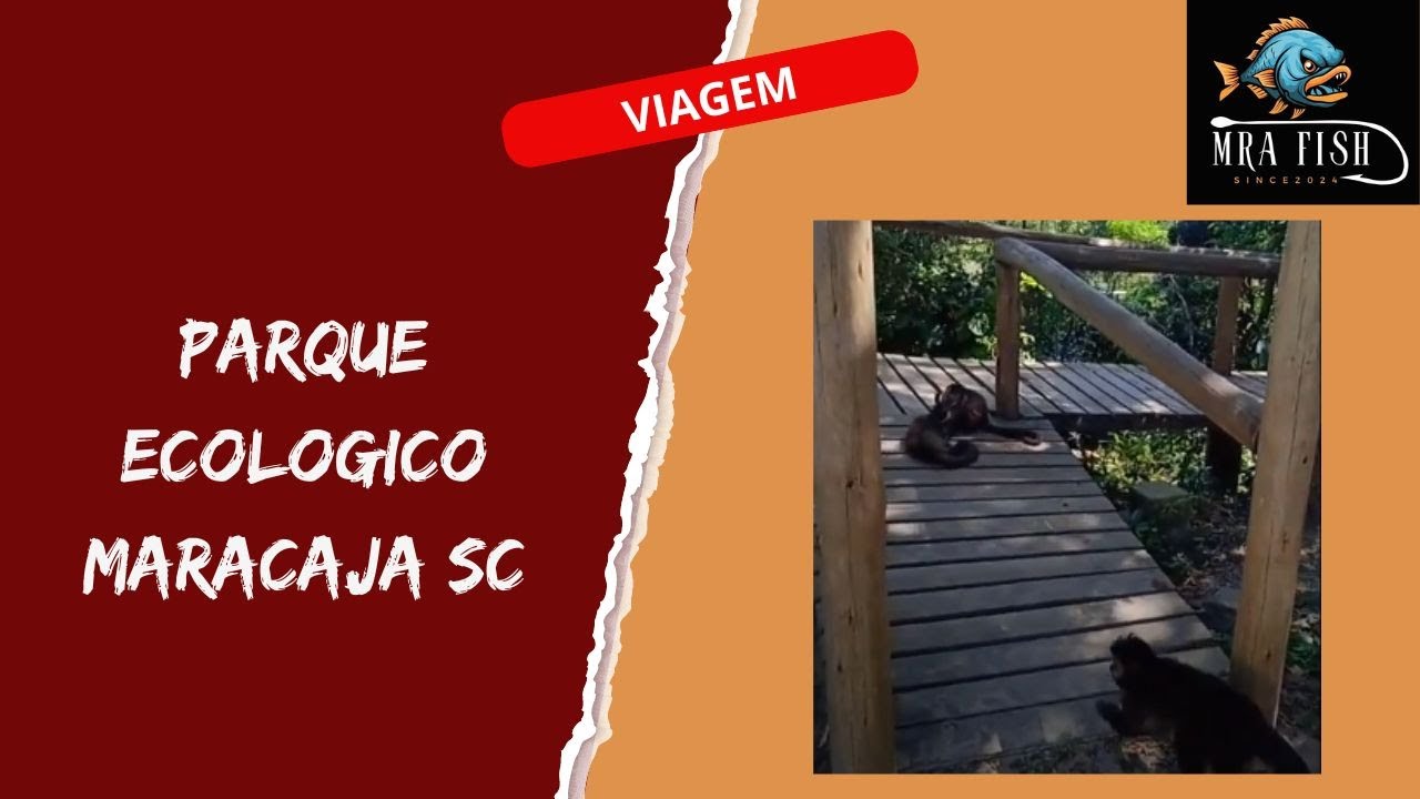 Parque Ecologico Maracaja SC - YouTube