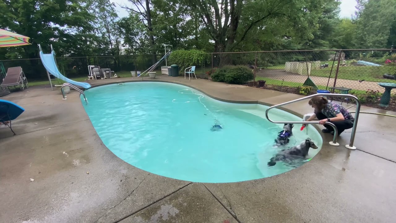 Bee Swimming Lessons 8-10-22 - YouTube