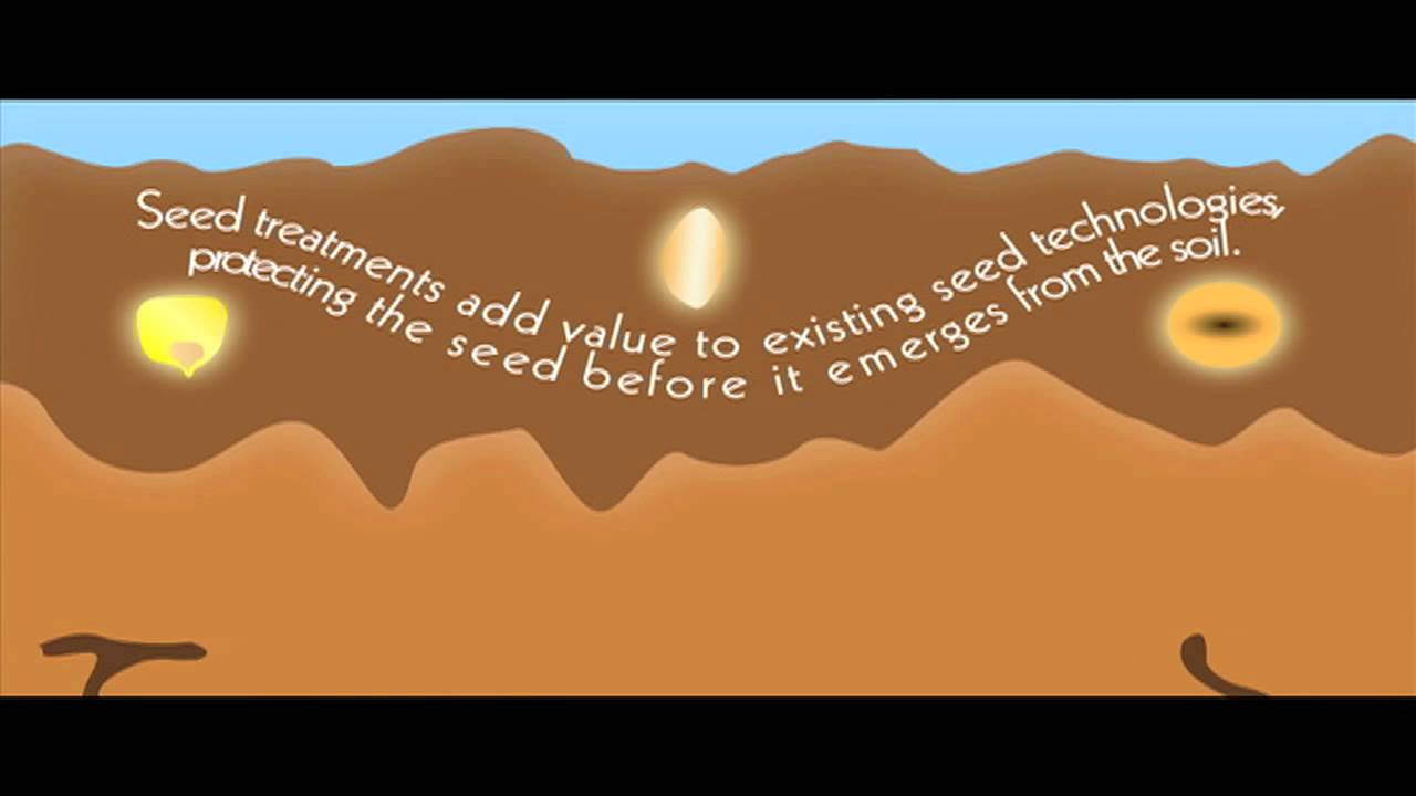 The Role of Seed Treatment in Modern Agriculture - YouTube