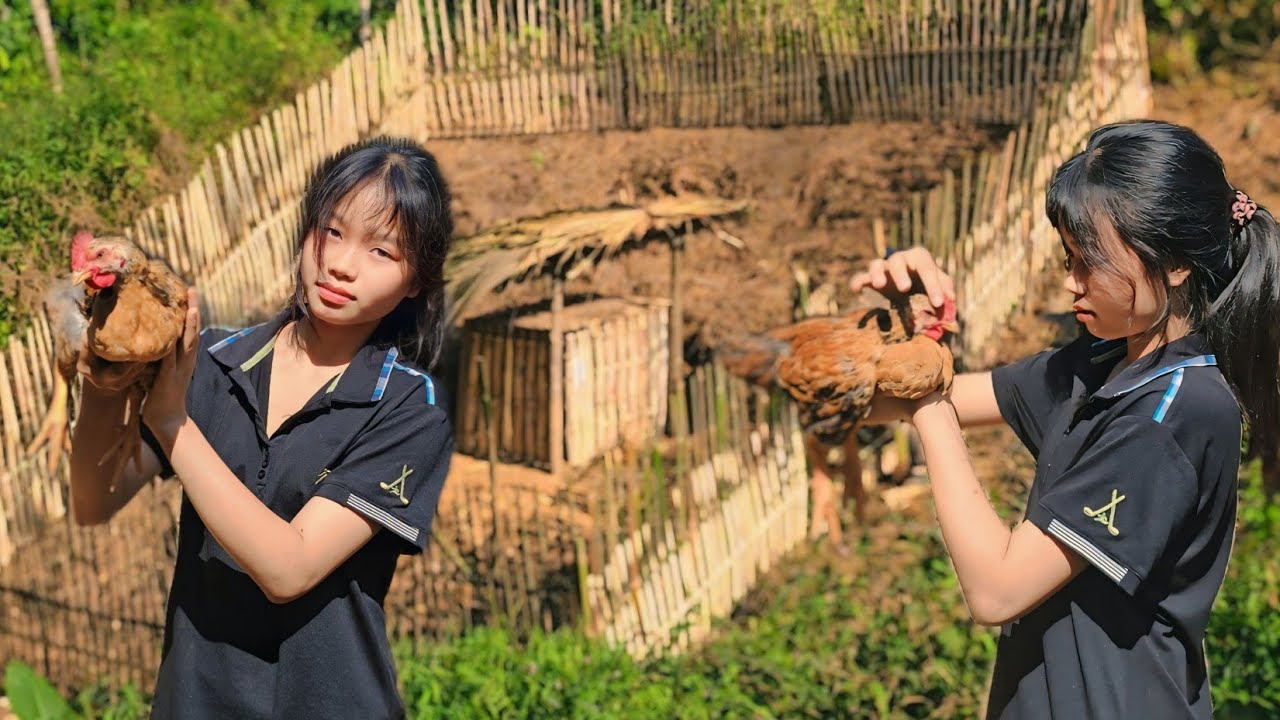 14 days of building a chicken farm model | full video | farm life - YouTube