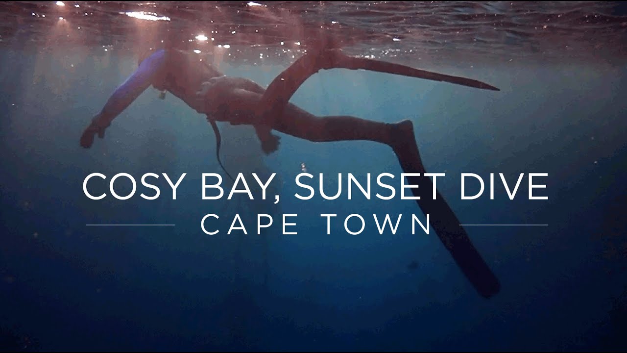 Cosy Bay, sunset dive, Cape Town - YouTube