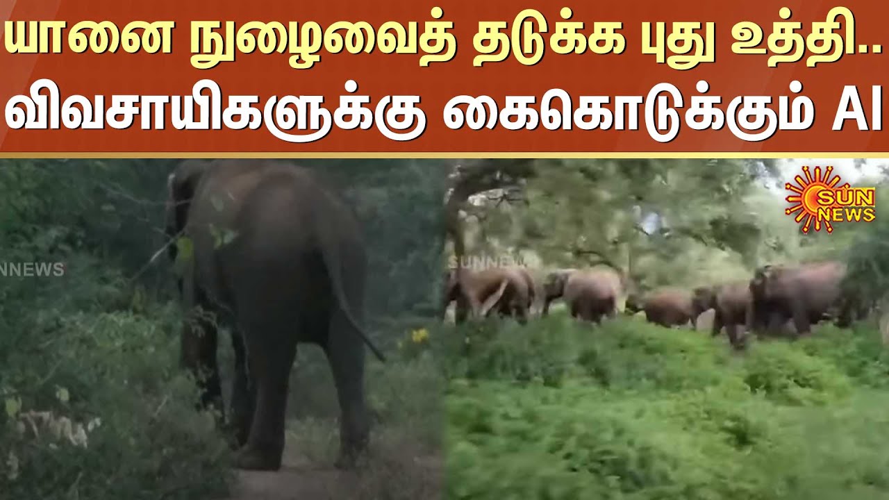 Elephants | AI Technology | Mettupalayam | Artificial Intelligence ...