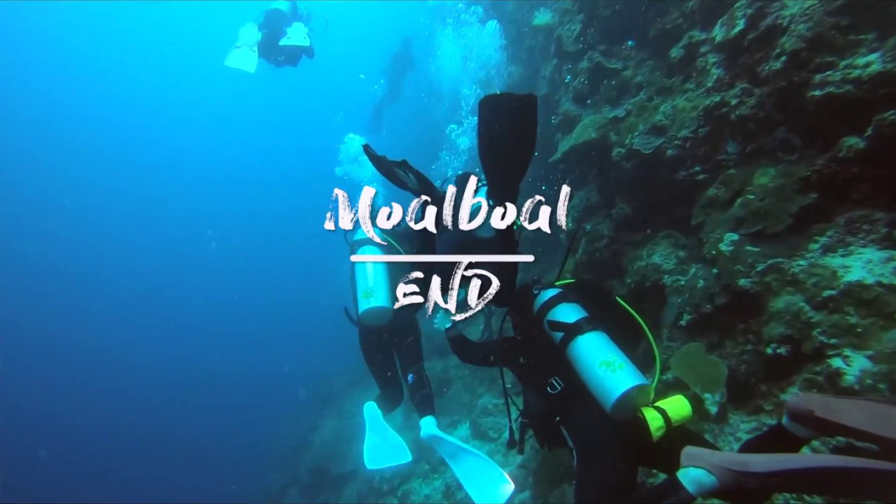 Moalboal Diving & Adventure - YouTube
