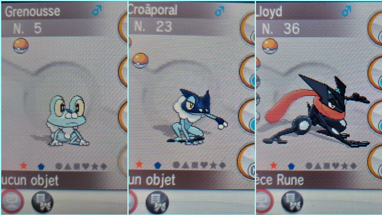 Shiny Froakie in 790 SRs + Evolutions - Pokémon X DTQ #1 - YouTube