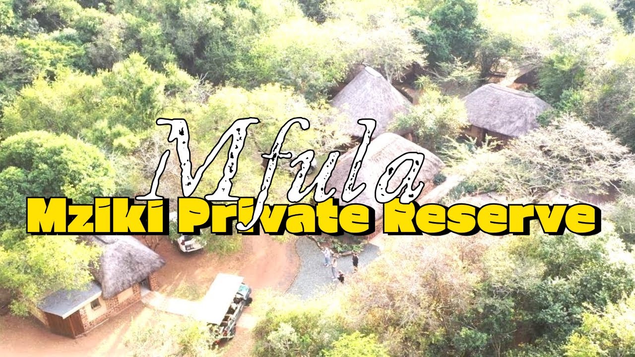 Mfula – "A Private kingdom in the Wild" in Mziki Private Reserve - YouTube