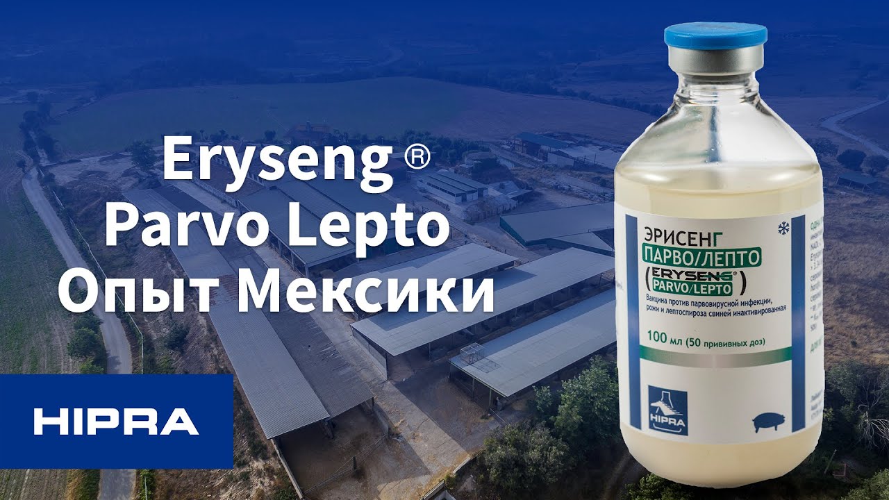 Eryseng®️ Parvo Lepto Опыт Мексики | HIPRA - YouTube
