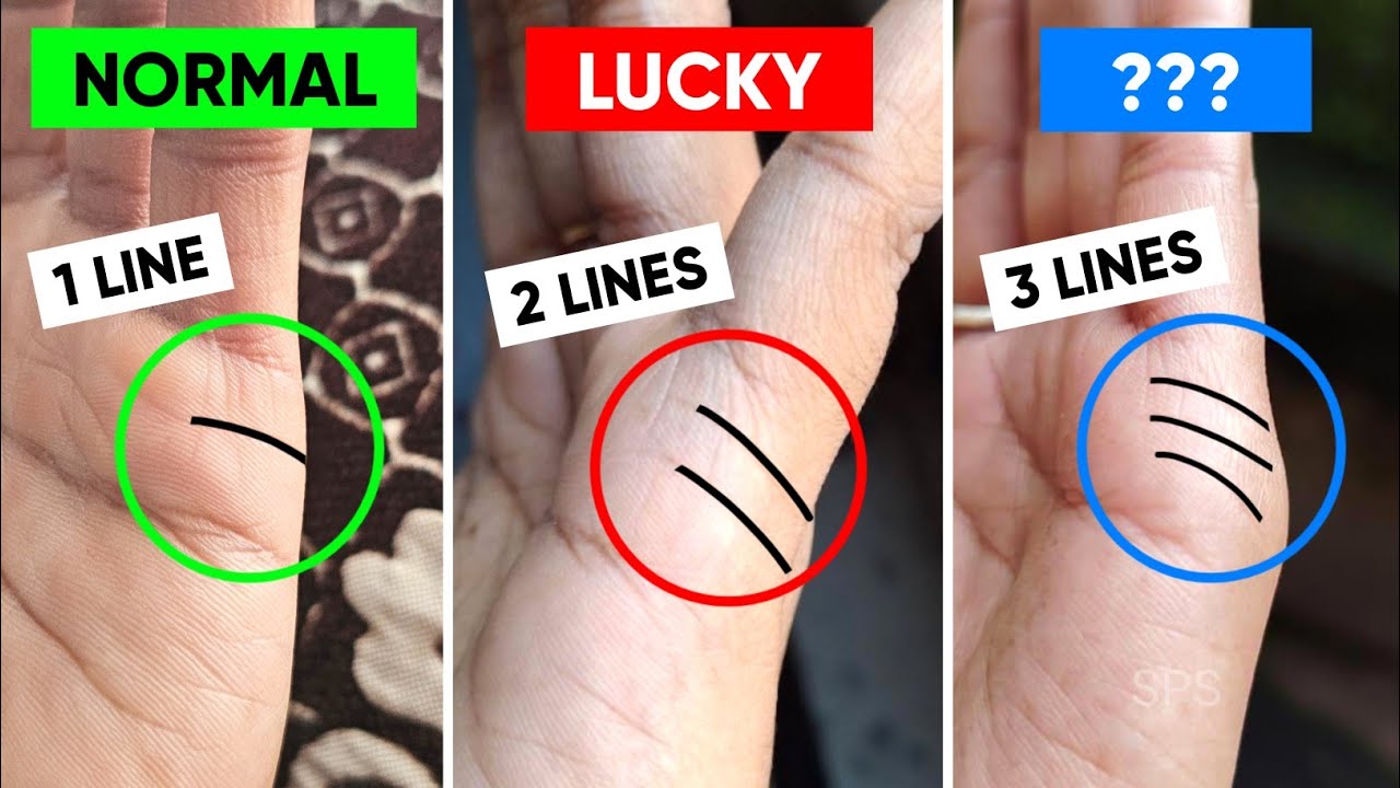 Big secret of Mercury lines 😯 Palmistry in English - YouTube