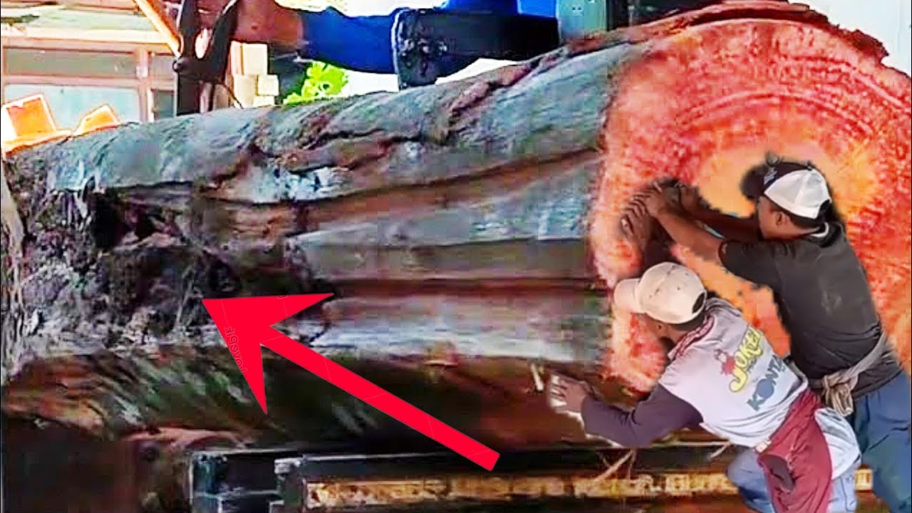 The sawmill collapsed because of this piece of wood - YouTube