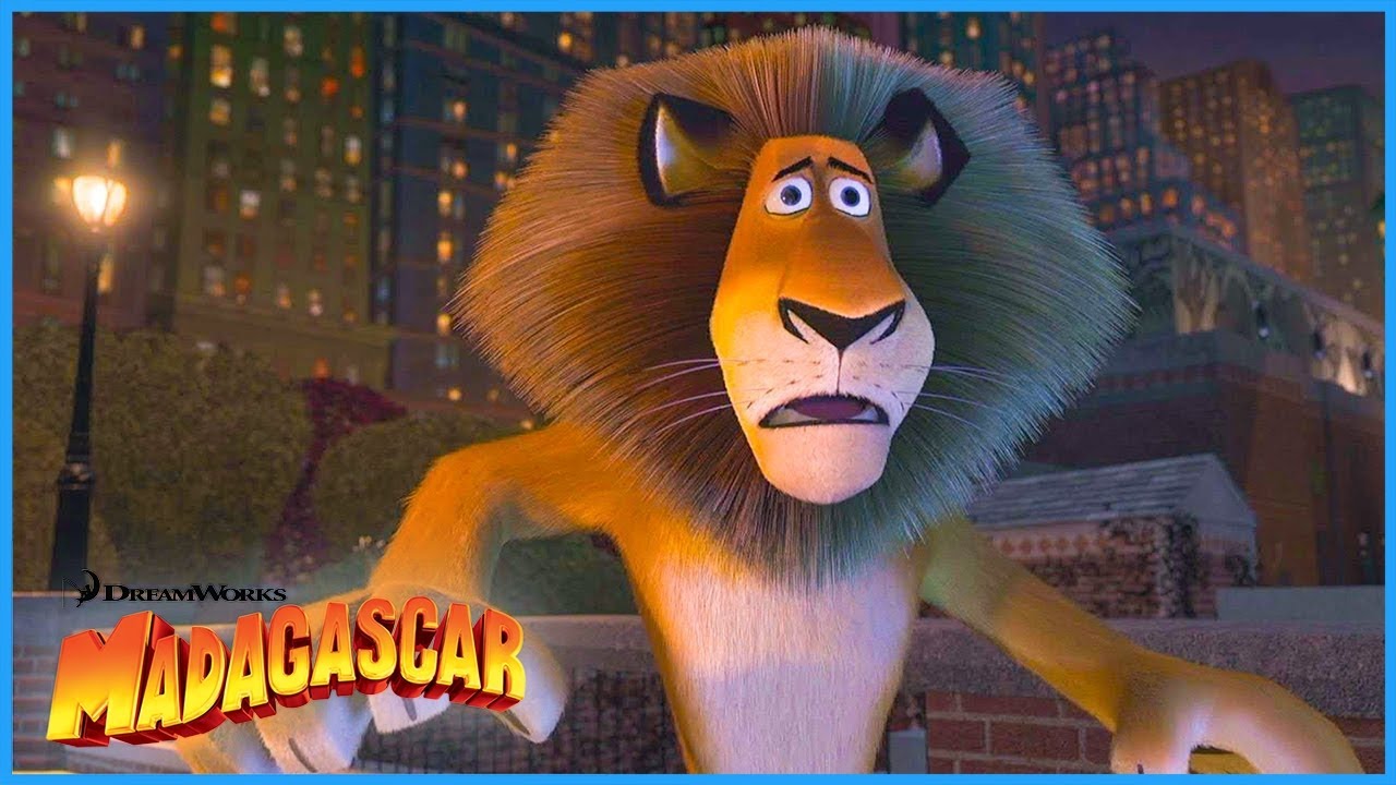 Alex: The King of NYC 🗽 🦁 Madagascar | Animal Friends - YouTube