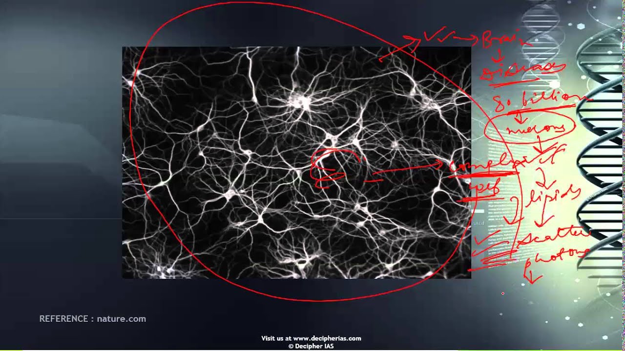 Science and Technology :Neurons,Optogenetics and Clarity - Lecture 1 ...