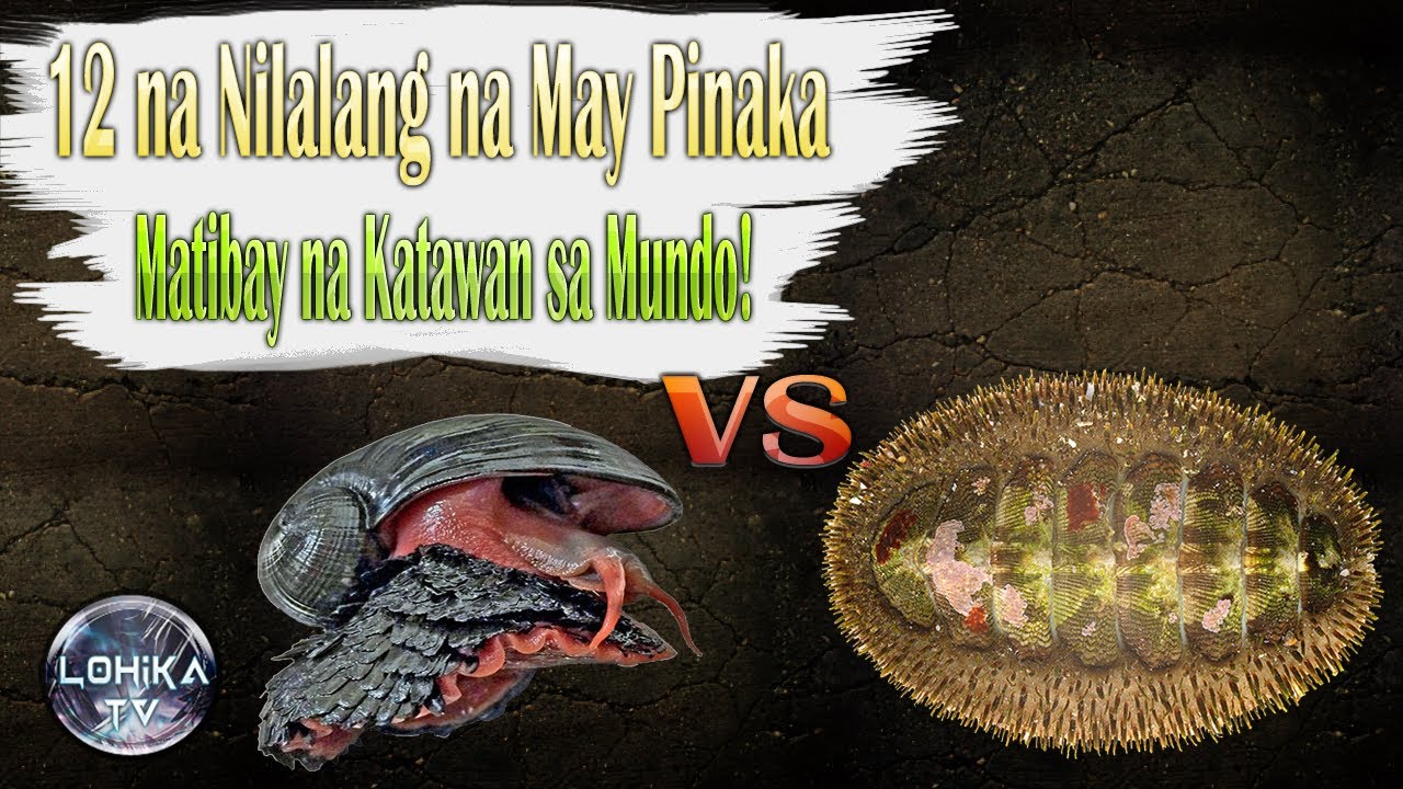 12 na Nilalang na May Pinaka Matibay na Katawan sa Mundo! | Lohika TV ...