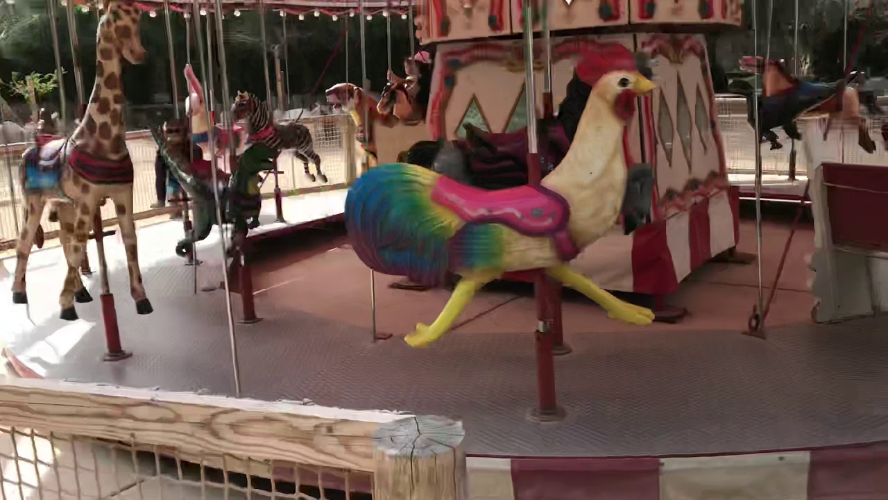 Sammi visits Wildlife World Zoo & Aquarium in Goodyear (March 6th, 2019 ...