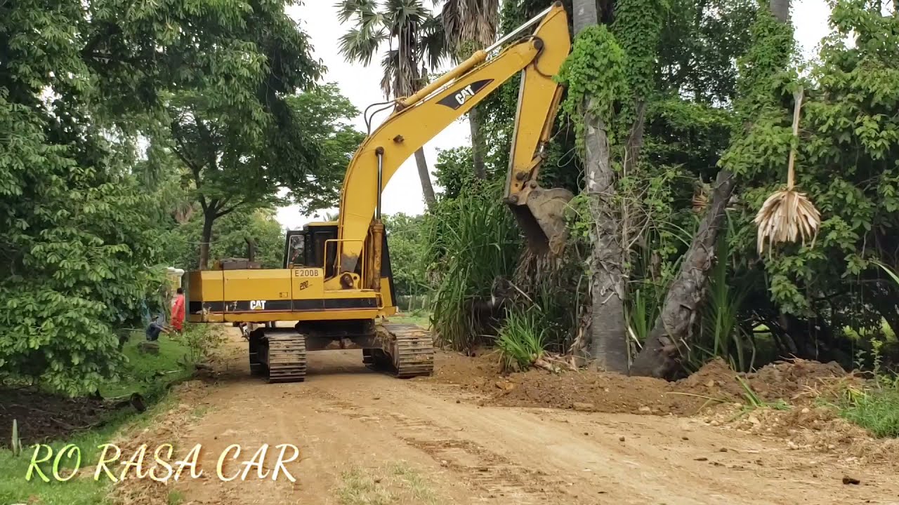 Excavator VS Palm Tree 🌴 - YouTube