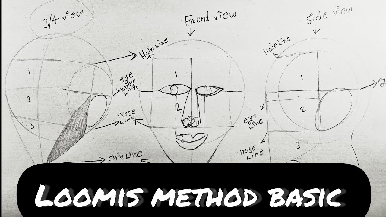 How to draw loomis method ? - YouTube