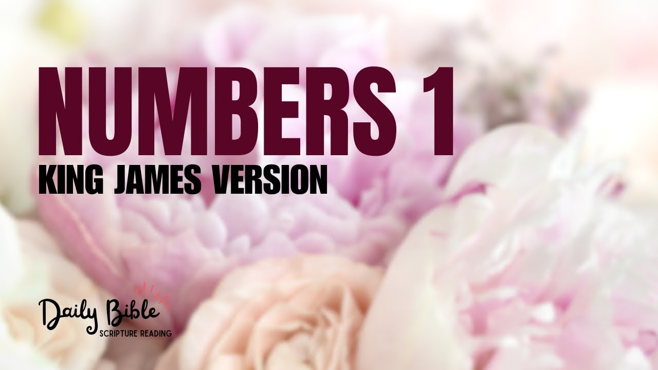NUMBERS CHAPTER 1 | Census of Israel and God’s Orderly Plan | for Bible ...