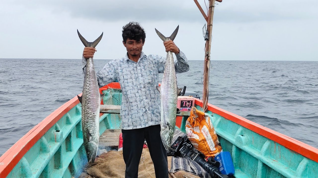 Fishing Videos Surmai Fish Village Mangrol Bara Fisherman - YouTube