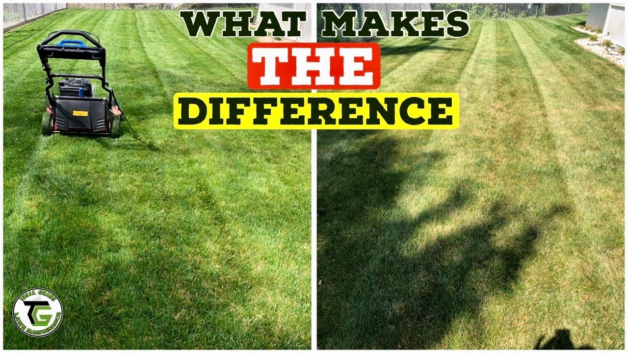 Toro TimeMaster Laying BEAUTIFUL STRIPES (NO STRIPING KIT) - YouTube