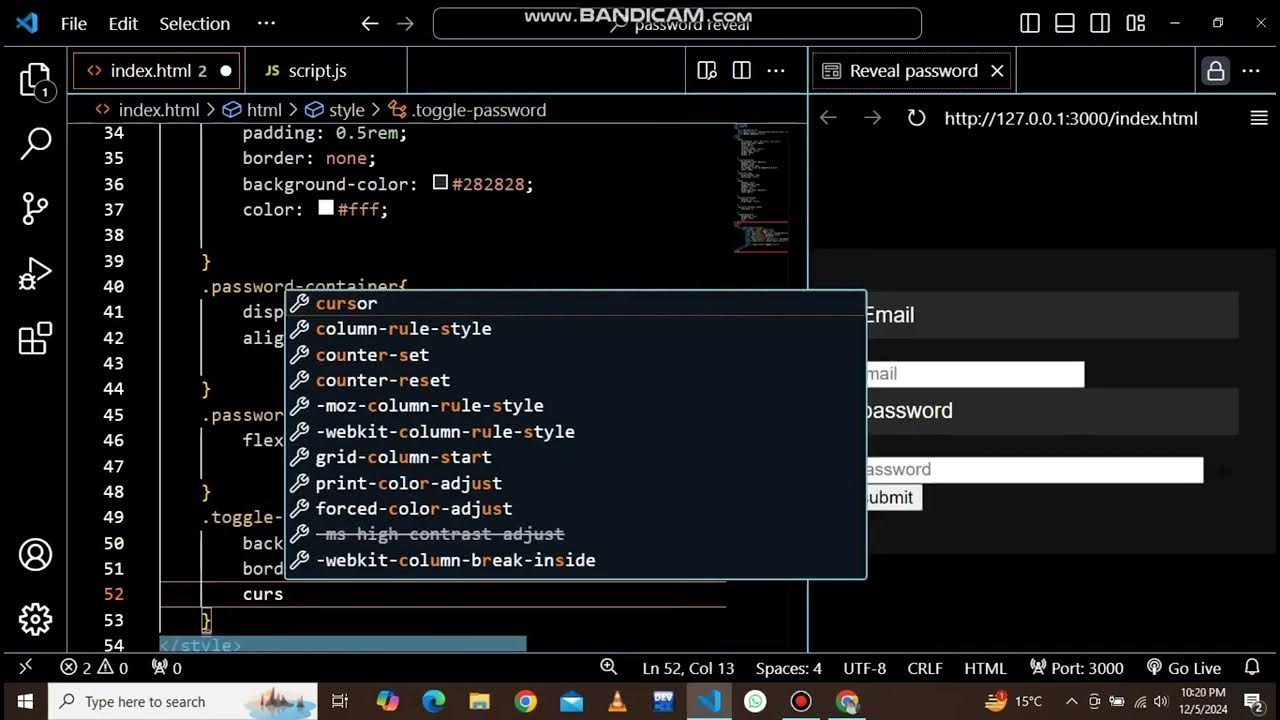 Show/Hide password using JavaScript|password reveal - YouTube