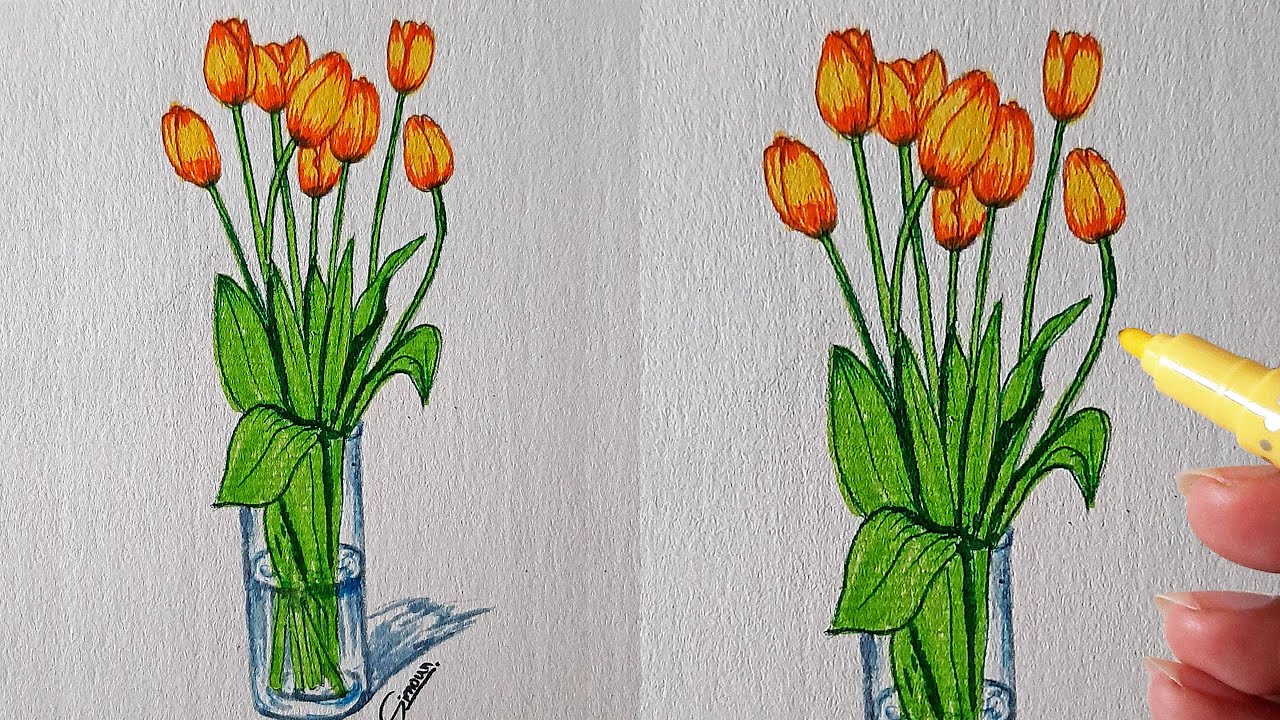 How to draw tulip flower | Sinoun Drawing - YouTube