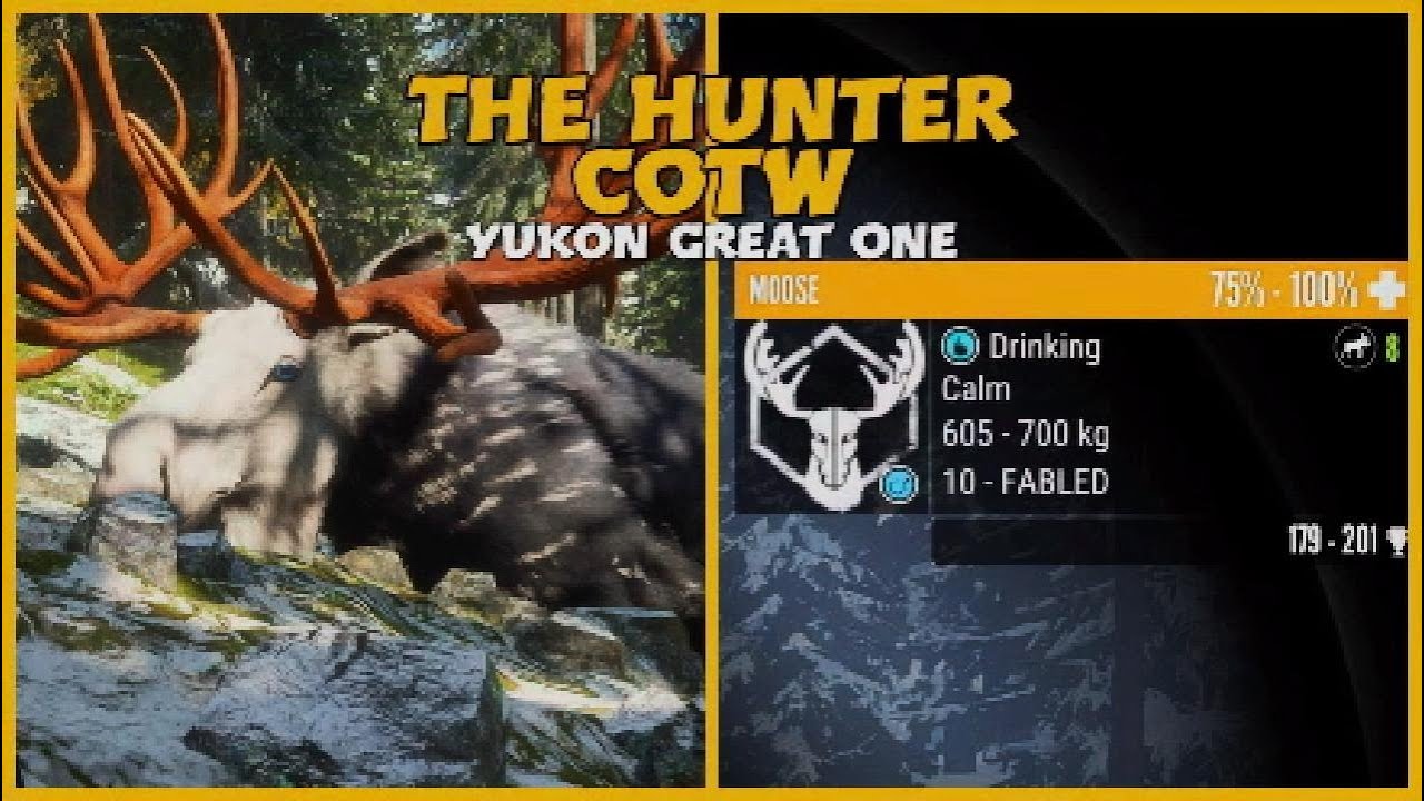 Yukon | Great One Moose - YouTube