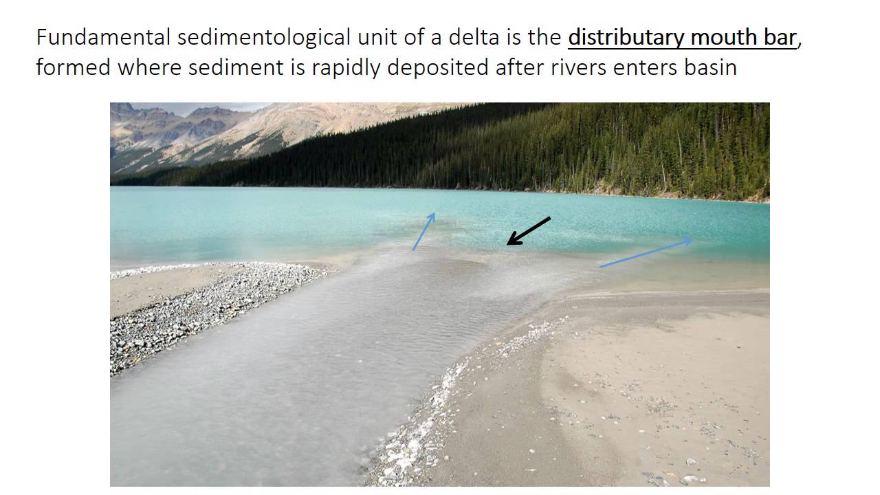 Deltas And Distributaries