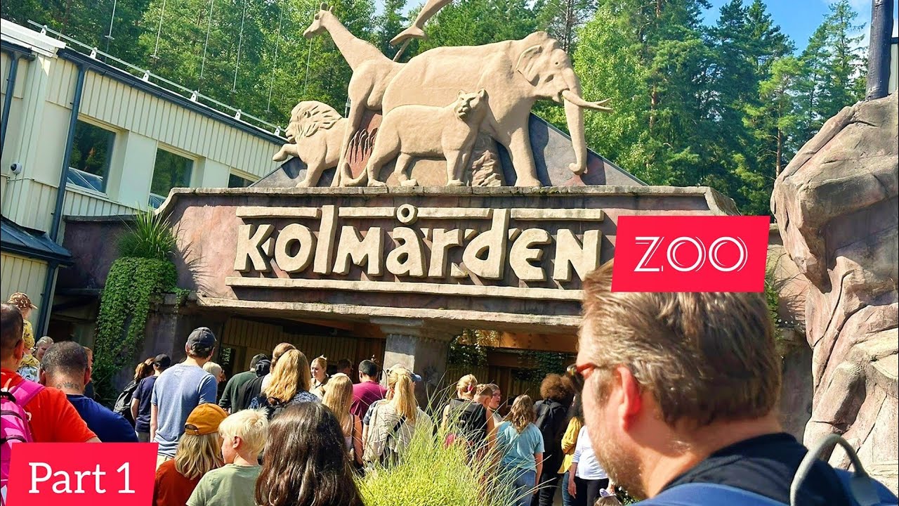 Kolmården Wildlife Park Sweden 2023 | Europe Largest Zoo | Safari Park ...