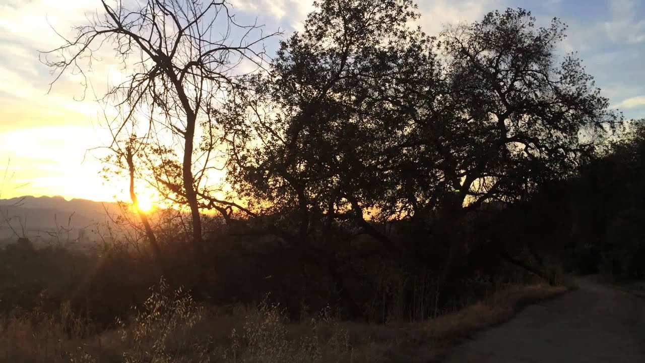 Hiking Wilacre Park on Laurel Canyon - YouTube