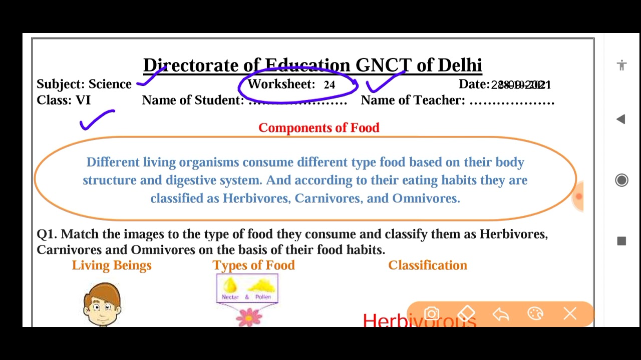 Grade 6 Natural Science Worksheets 5709013 | Grade 6. Natural Science.