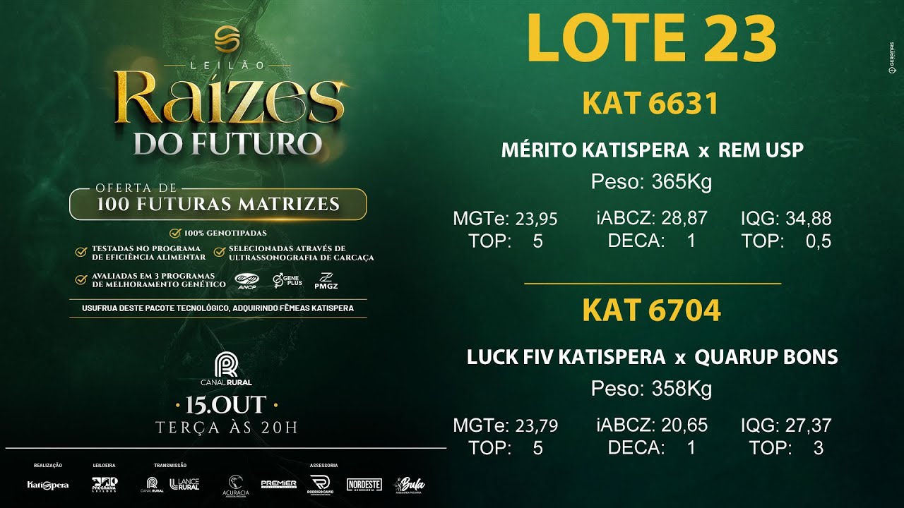 LOTE 23 - YouTube