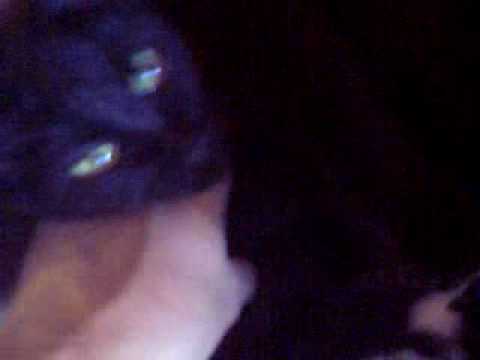 Il parto di nina.mp4