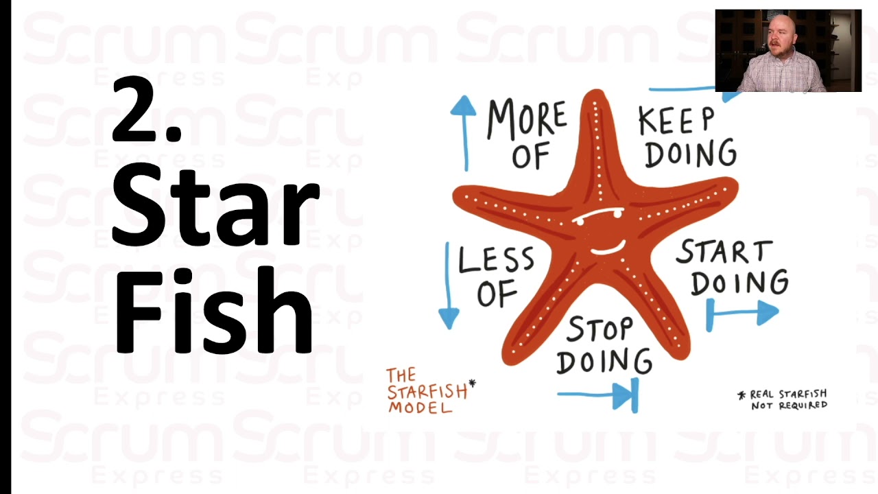 Starfish - Estrella de Mar (Idea de retrospectiva) - YouTube