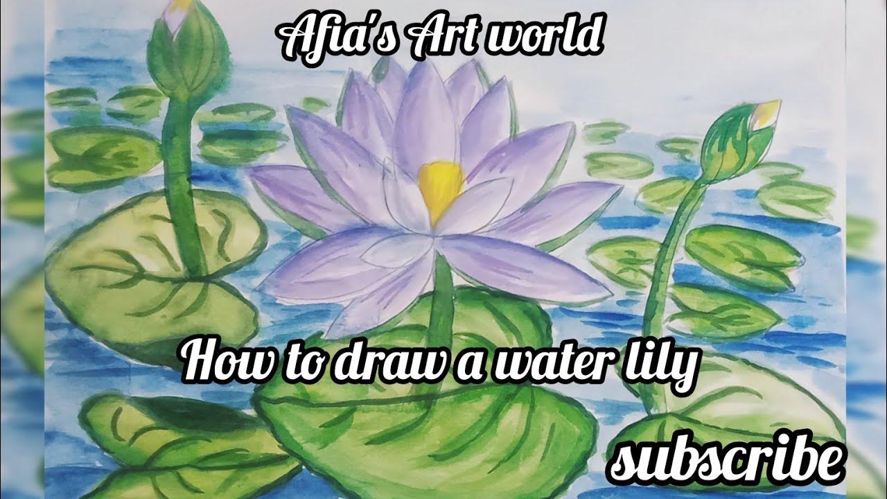 How To Draw A Water Lily Easy How To Draw A Water Lily Step By Step how-to-draw-a-water-lily-easy-how-to-draw-a-water-lily-step-by-step