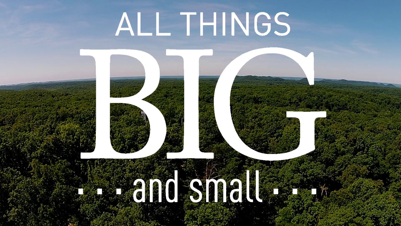 All Things Big and Small - YouTube