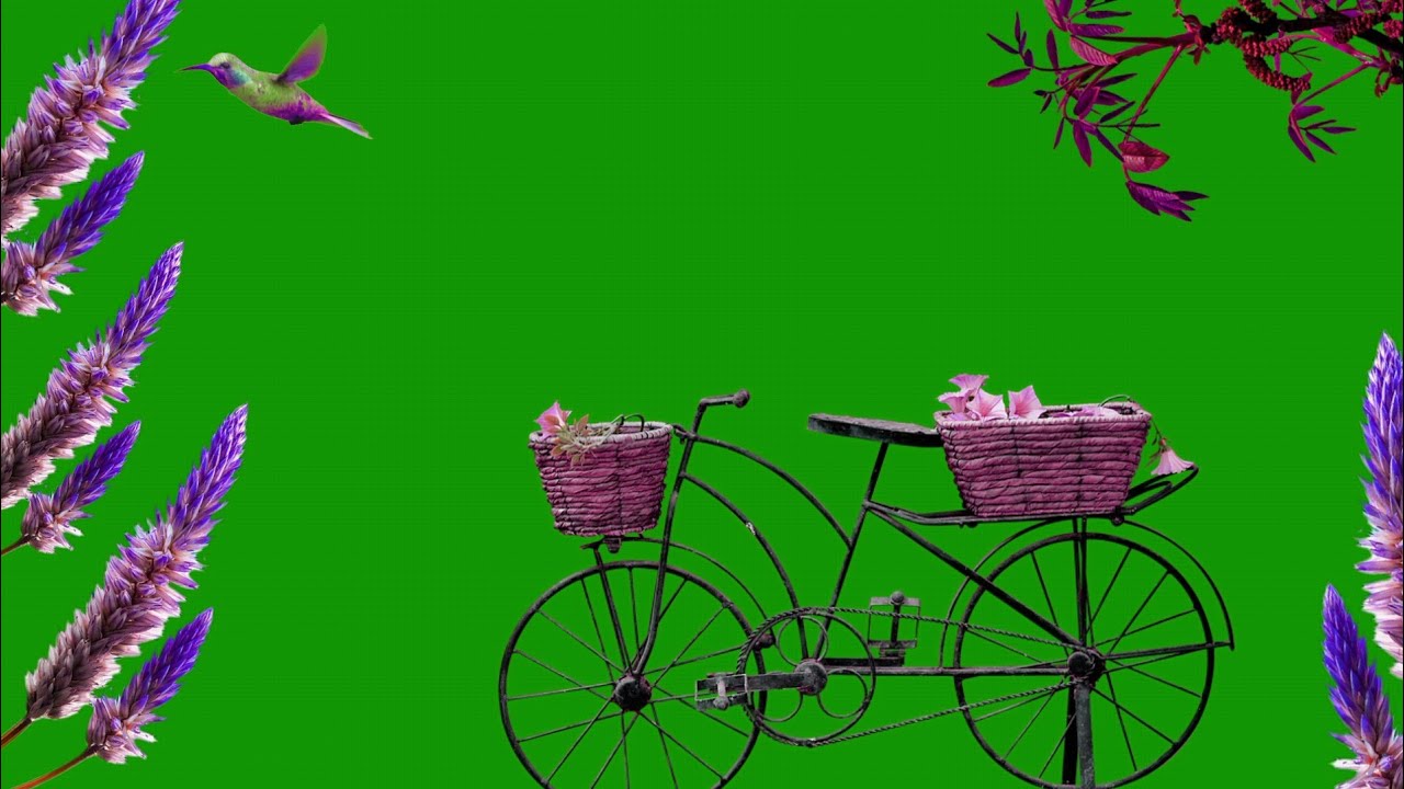 Moving Background / Background Video Effects hd / Green Screen Effects ...