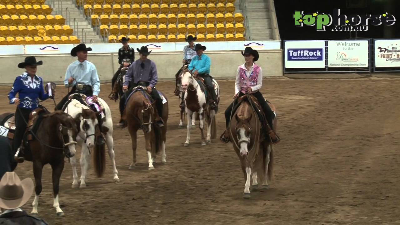 PHAA National Championship Show - 3YO Western Pleasure Horse - YouTube