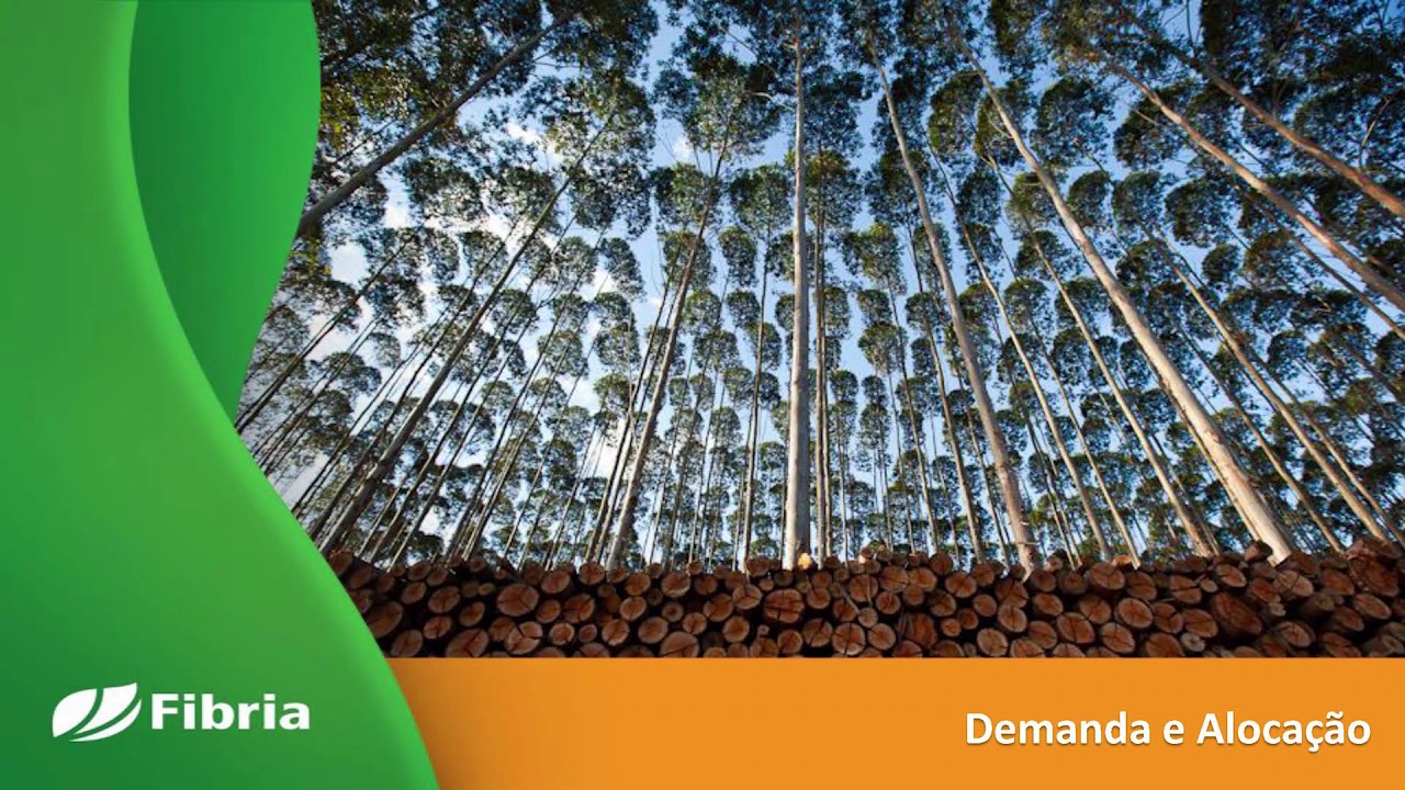 Apresentação Fibria Celulose S/A - YouTube