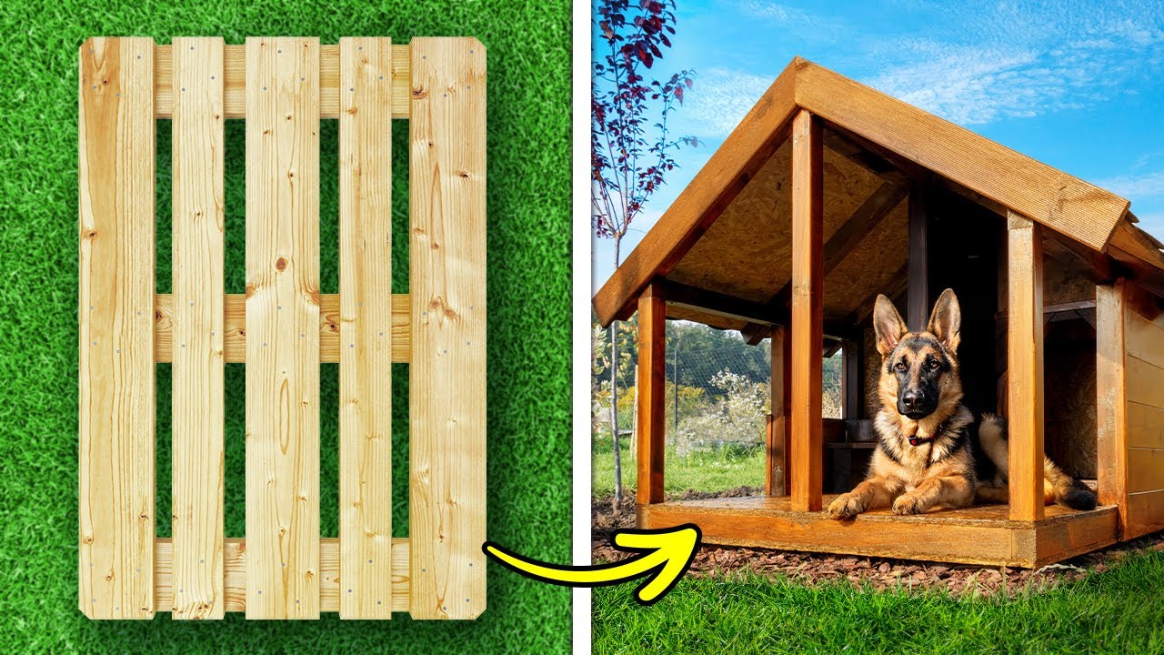Cute And Useful DIY Crafts For Cozy Backyard || Pet House, Giant DIYs ...